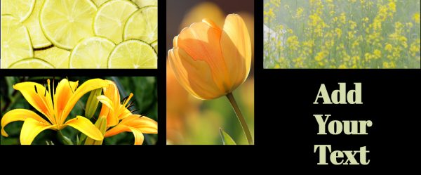 Free Facebook Covers | Customize Online then Download