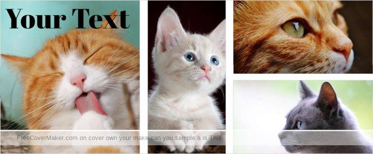 Facebook Cover Photo Collage — Free Cover Maker