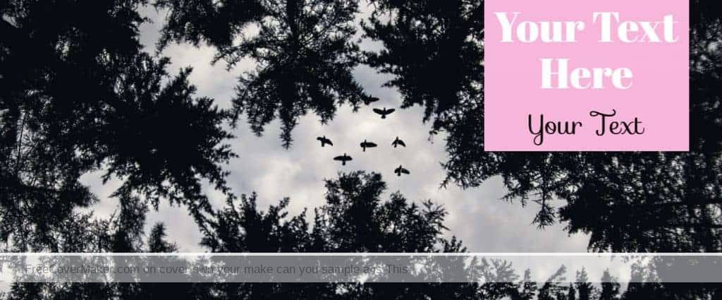 Free Facebook Covers | Customize Online then Download